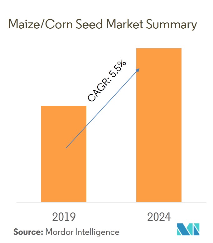 Maize Seed Market | Growth, Trends, and Forecast (2019-2024)
