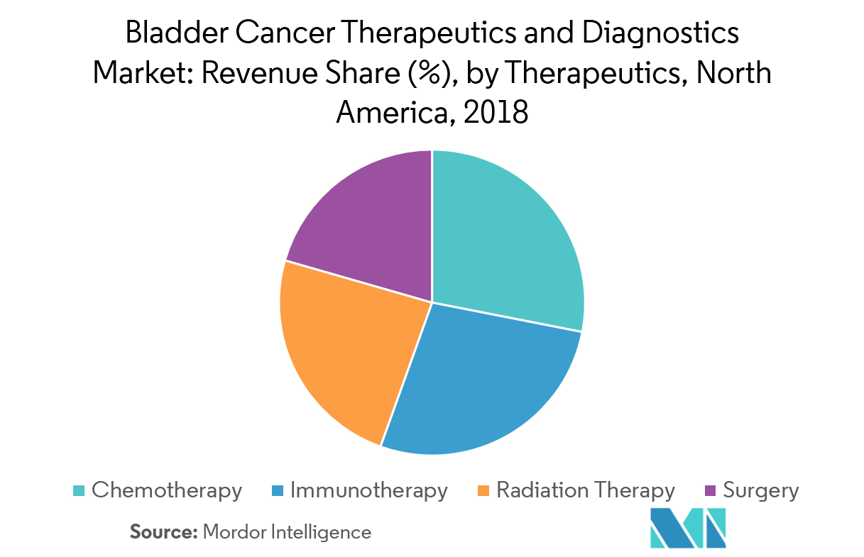 North America Bladder Cancer Therapeutics and Diagnostics Market ...