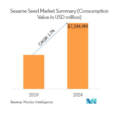 Sesame Seed Market | Growth, Trends, and Forecast (2019-2024)