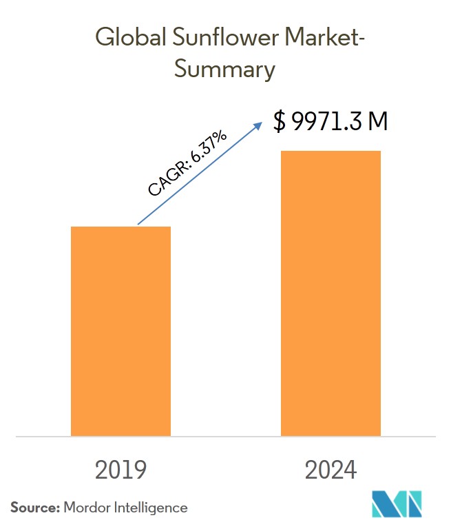 Global Sunflower Market | Growth, Trends, and Forecast (2019-2024)