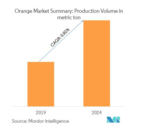 Orange Market Share | Growth, Trends, and Forecast (2019-2024)